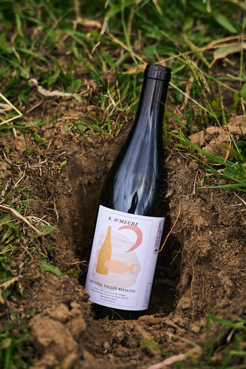 2022 'Coal Valley' Riesling – R D'meure wines